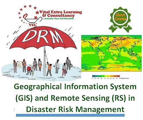 GIS and RS Technologies for Disaster Risk Management, Vital Extra ...
