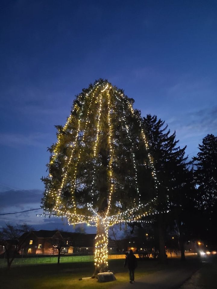 Annual Memorial Luminary Display, Rose Hill Cemetery, Hagerstown, 9 ...