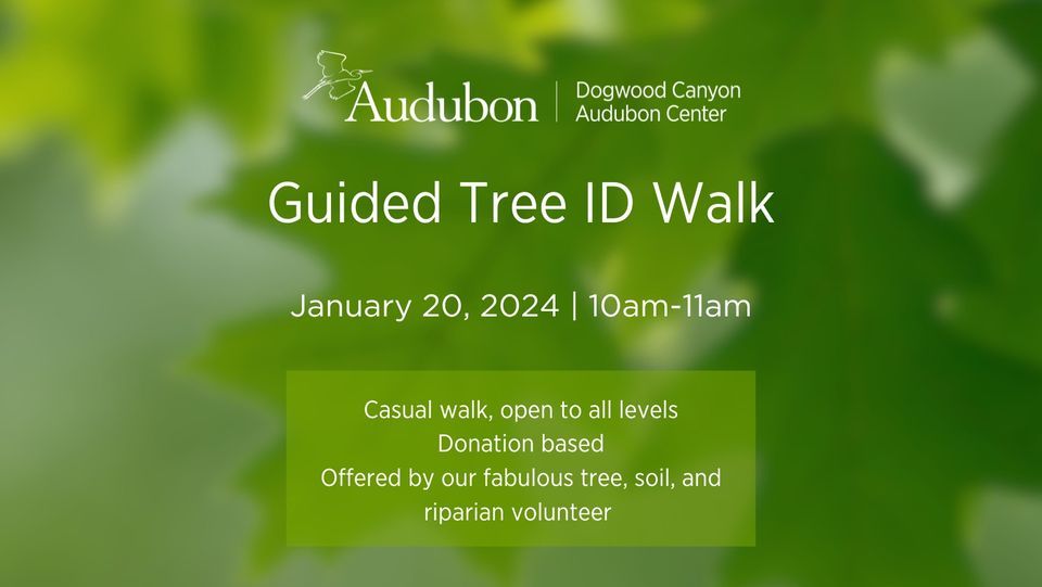 Guided Tree ID Walk, Dogwood Canyon Audubon Center, Cedar Hill, 20 ...