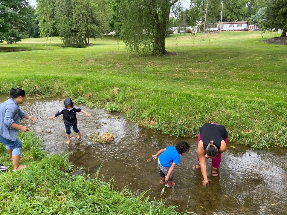 Stream Walk & Exploration for Lancaster Water Week, S. Dale High ...