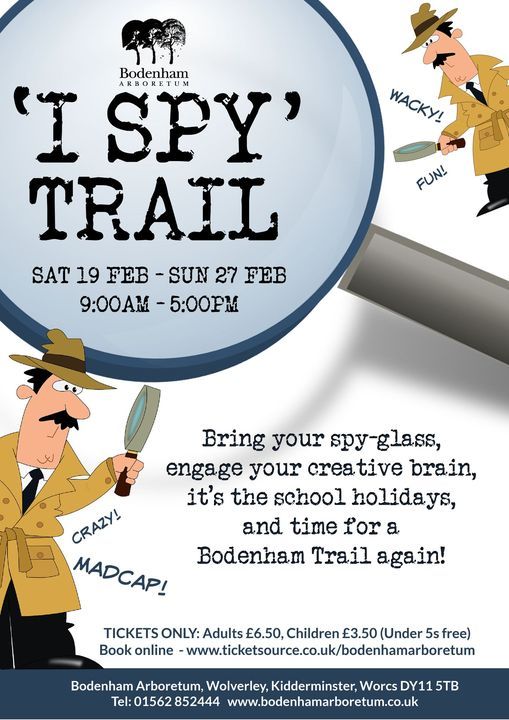 I Spy Trail, Bodenham Arboretum, Kidderminster, 19 February to 27 February