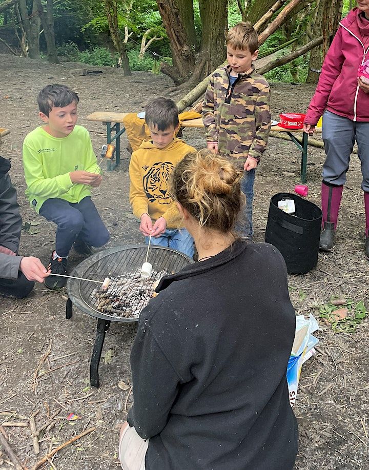 Nature Adventurers - Holiday Special (10-14 years), St Nicks - Nature ...