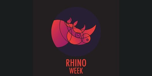 RHINO WEEK: First Friday Art Walk, RiNo, River North Art District ...