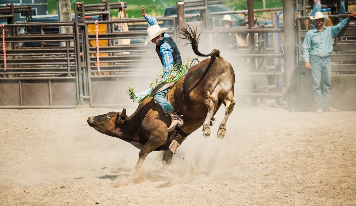 Fort Worth Stock Show and Rodeo - FWSSR ProRodeo Tournament, Dickies ...