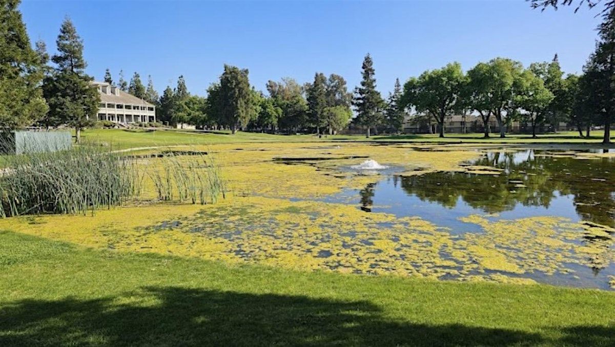 ACSA Region 7 Winter General Membership Assembly (GMA), Chez Shari ...