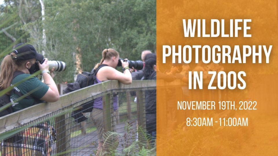 Wildlife Photography in Zoos, Central Florida Zoo & Botanical Gardens ...