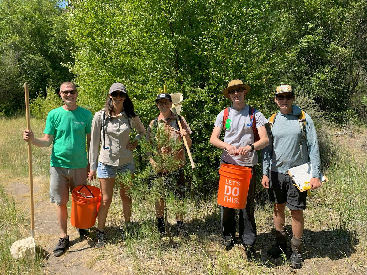Stream Sampling on Whychus Creek (Thursday, August 7th), Creekside Park ...