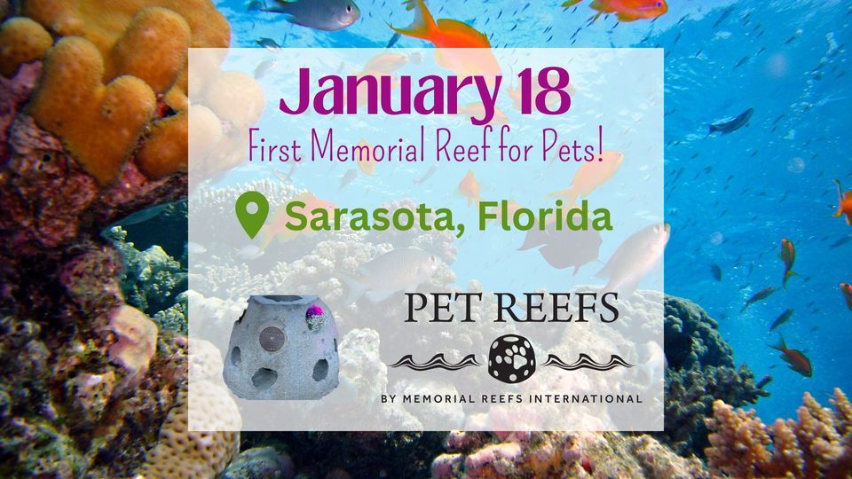 First Memorial Reef for Pets!, Sarasota, Florida, 18 January 2023