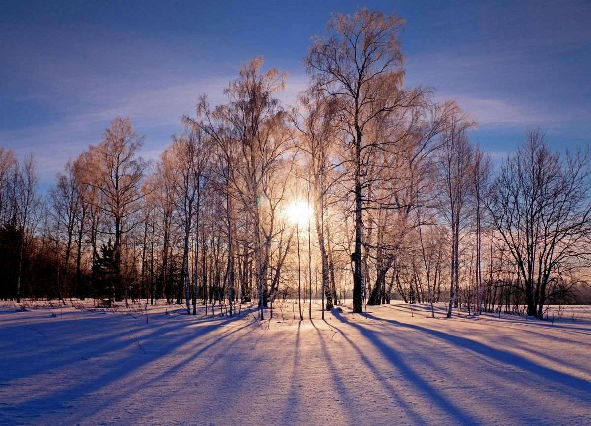 Heartspaces Winter Solstice Pagan Ceremony, Essex Hall, London, 21 ...