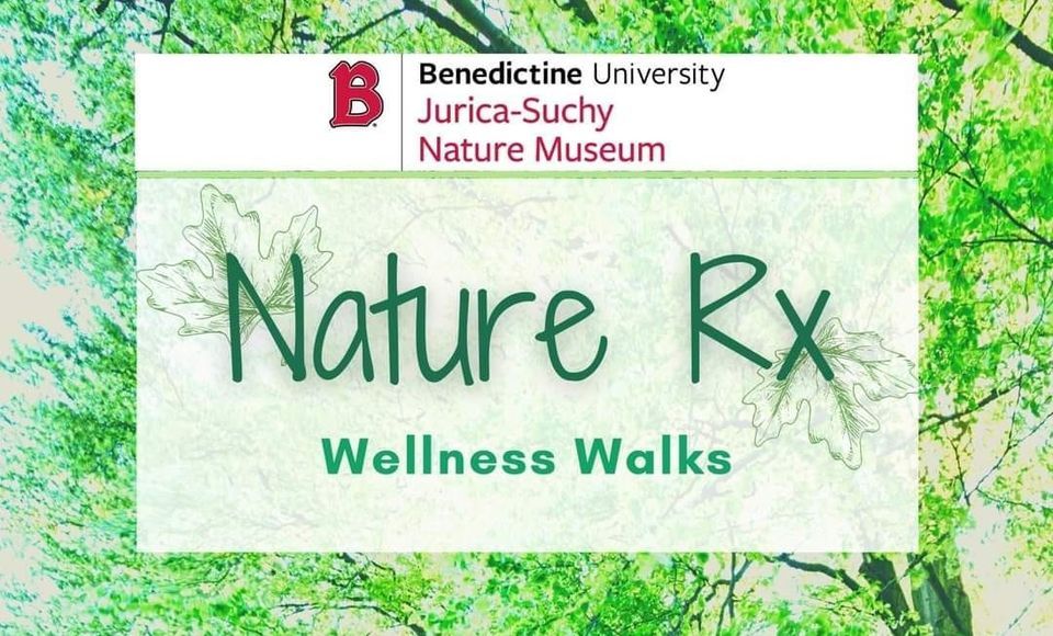 Nature Rx: Wellness Walk, Benedictine University, Lisle, 18 November 2022