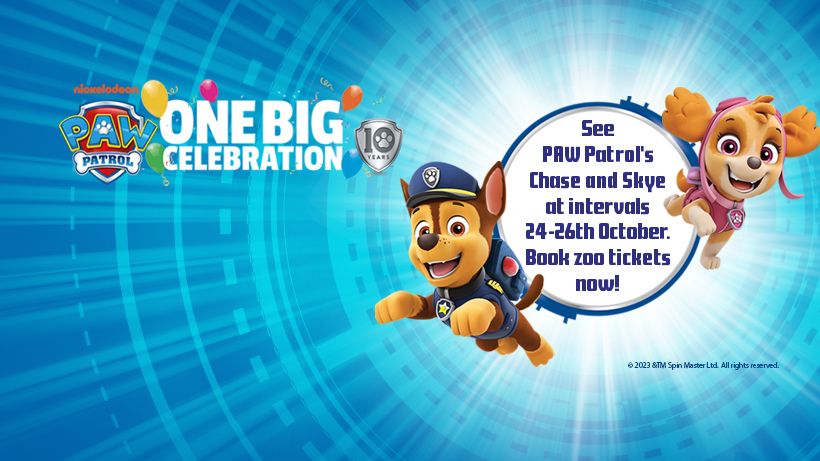 PAW Patrol are visiting Marwell Zoo!, Marwell Wildlife, Winchester, 26 ...