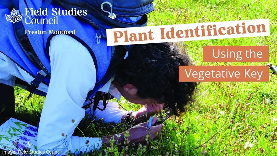 Plant Identification Using the Vegetative Key, Preston Montford Field ...