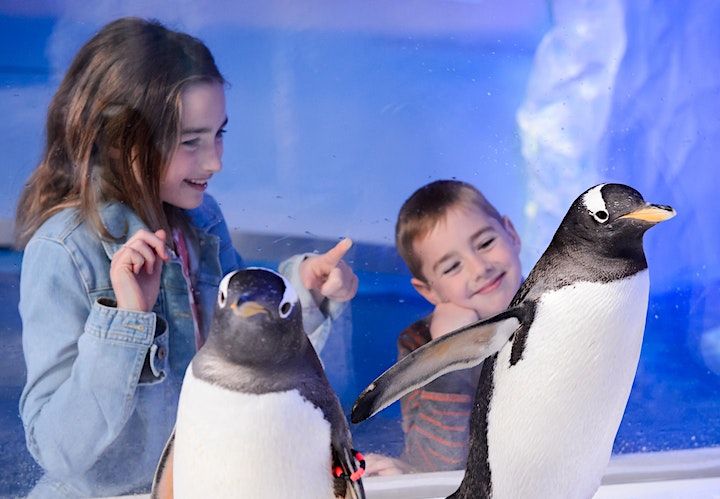 World Oceans Day: SEA LIFE London Aquarium Teacher Event, SEA LIFE ...