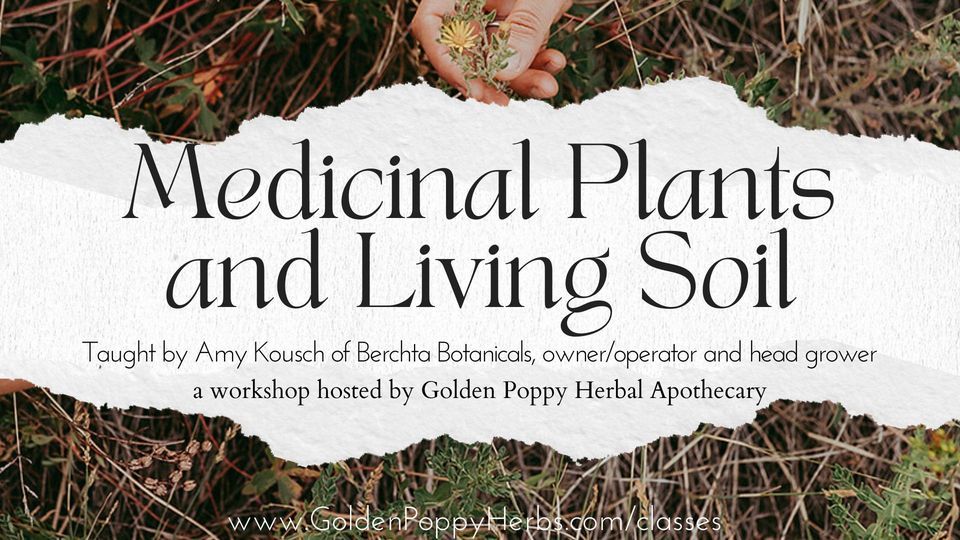 Medicinal Plants and Living Soil w/Amy Kousch, Golden Poppy Herbal ...