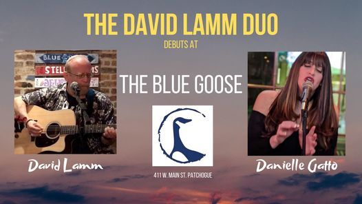 David Lamm Duo Debuts at the Blue Goose!, Blue Goose, Patchogue, 31 ...