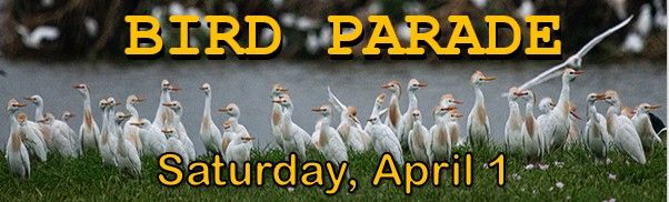2023 TAYLOR BIRD PARADE!, Murphy Park, Taylor, 1 April 2023