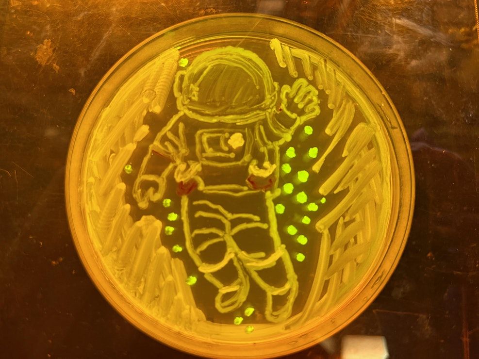 SYNBIO 101: Introduction to Biohacking, BOSLab, Somerville, 23 May 2026