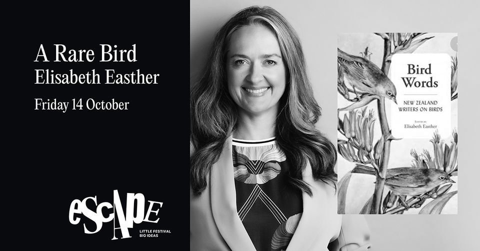 A Rare Bird, Books A Plenty, Tauranga, 14 October 2022