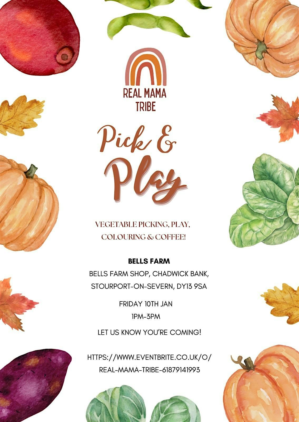 Pick & Play (NOVEMEBER) Bells Farm Shop, Bell's Farm Shop & Pick Your ...