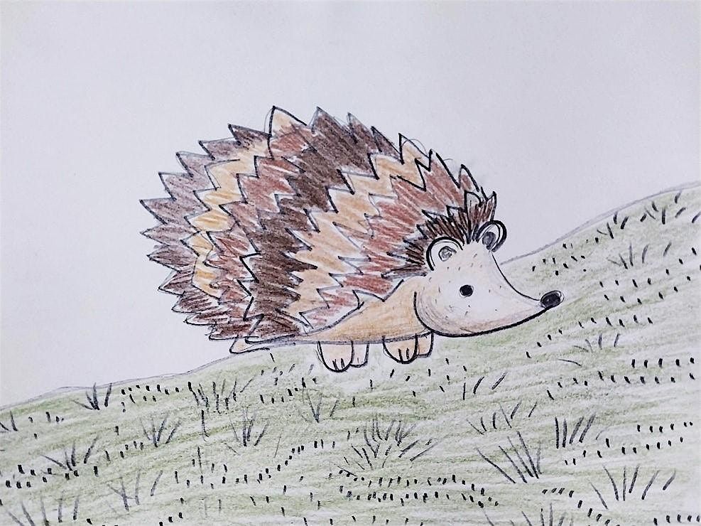 Porcupine Drawing Class for Kids Ages 5–13 years old, Expressive Brush ...