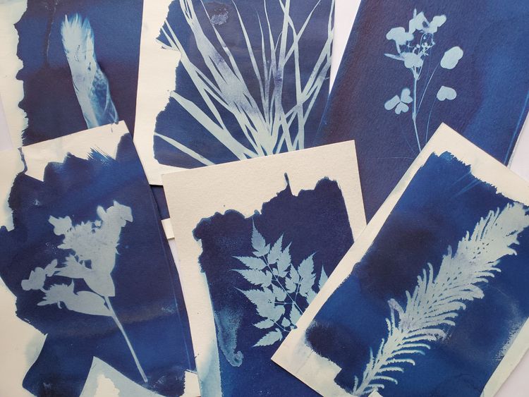 Cyanotypes - Printing with the Sun Workshop (ages 14+), Sharon Lynne ...