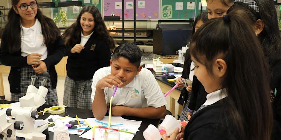 Engineering Design Challenge: Designing a Hand Pollinator | Grades 3-5 ...