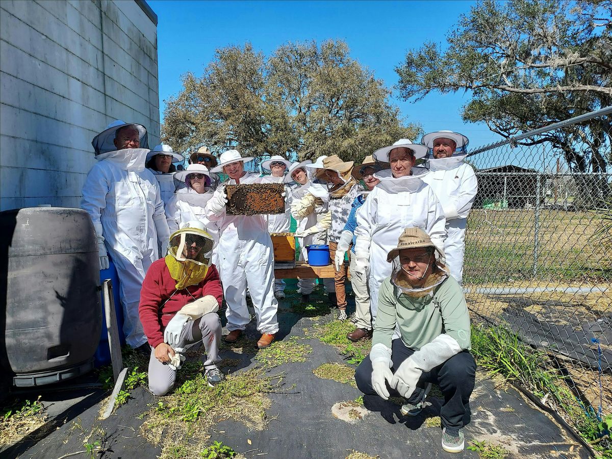 Beekeeping Basics Workshop 2026, UF/IFAS Polk County Extension Service ...