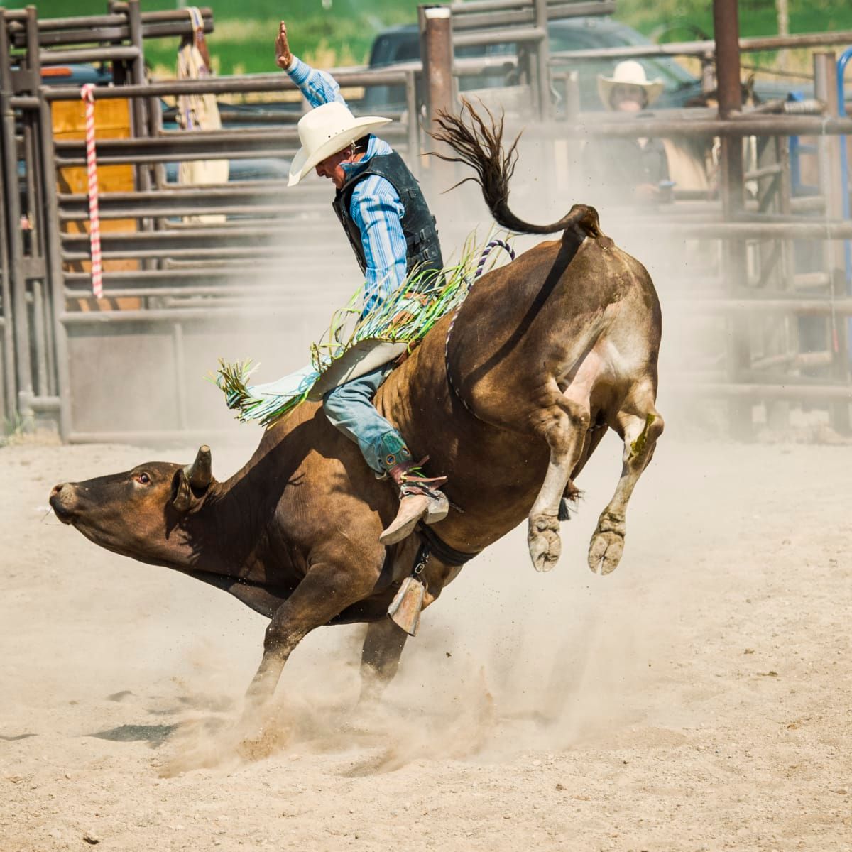Montgomery SERP Rodeo at Garrett Coliseum, Garrett Coliseum, Montgomery ...