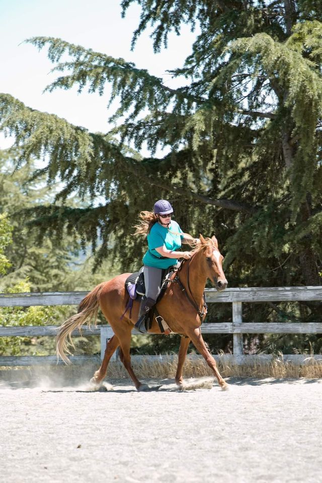 Intro To Bridleless Riding - with Heather Lomax, Red Level Baptist ...