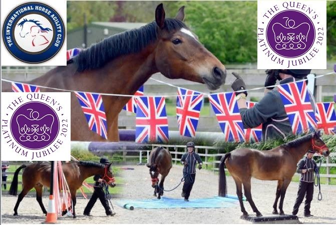 Platinum jubilee horse agility with Amanda Braham, Keeble Cottage ...