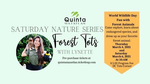 Forest Tots World Wildlife Day Fun with Forest Animals, Quinta Mazatlan ...