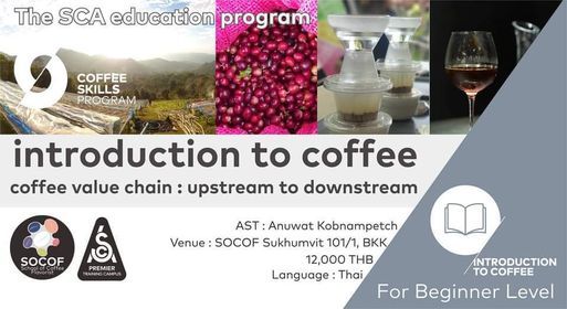 SCA Introduction to Coffee, SOCOF : scentone Thailand, Klong Luang Peng ...