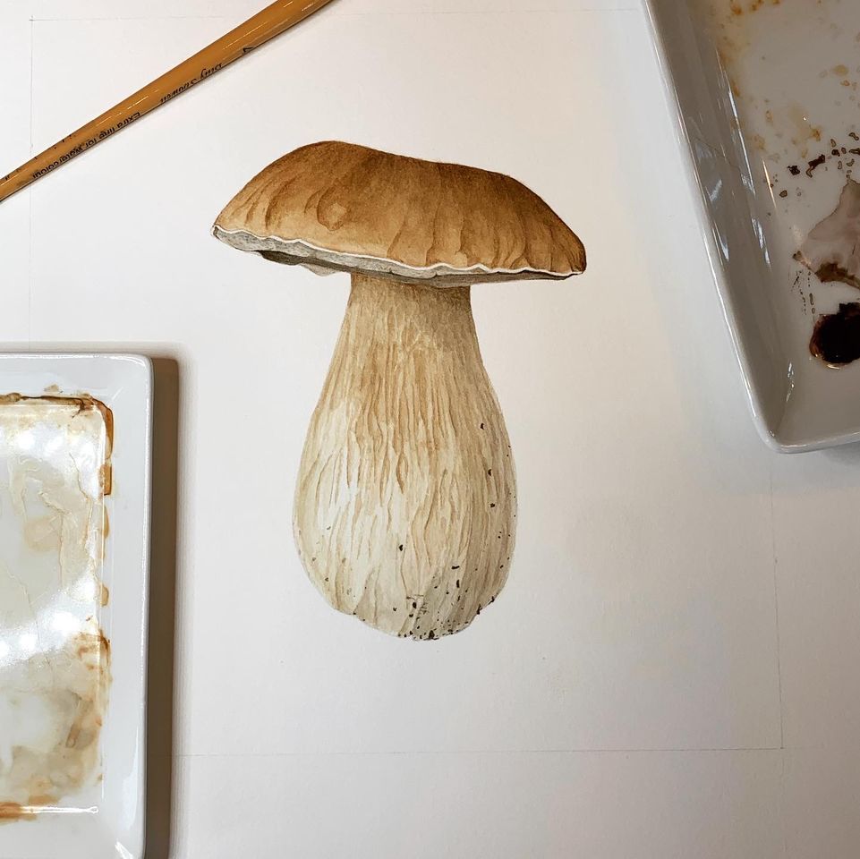 Botanical Watercolor - Fall Fungi with Jill Manson, Red Butte Garden ...