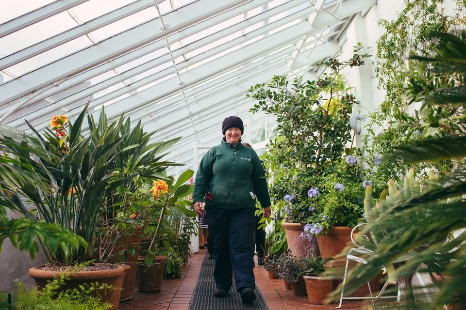 2022-2023 RHS Qualifications, Winterbourne House and Garden, Birmingham ...