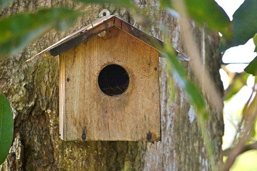 Make-a-nest-box workshop, Ipswich Oddfellows, 22 November 2022