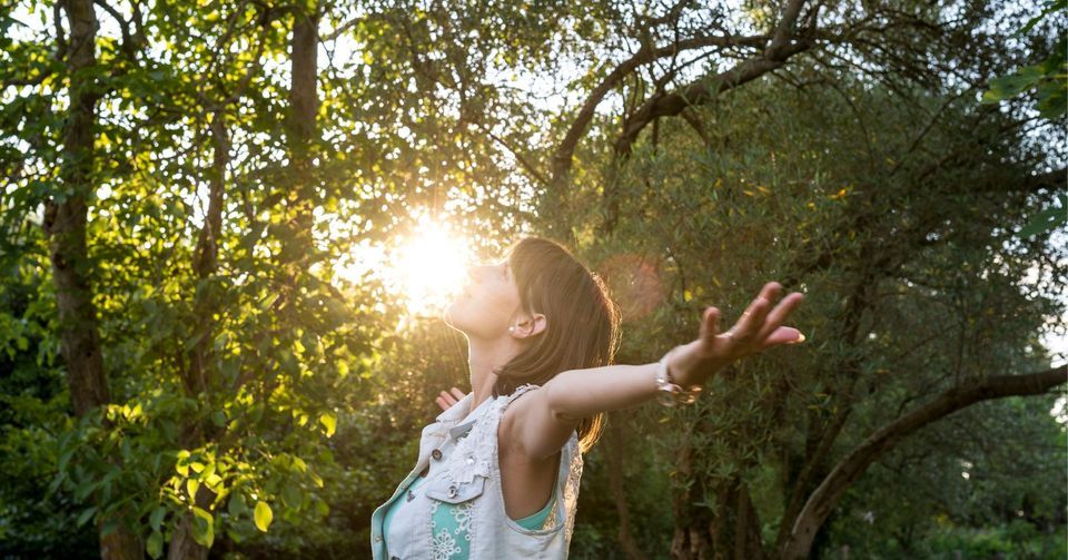 Forest Immersion, Lauritzen Gardens, Omaha, 19 June 2023