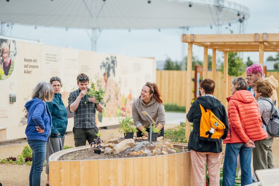 Wir säen alt aus! Für das Klima, den Erhalt alter Sorten und eine buntere Welt!, Buga 2023 ...