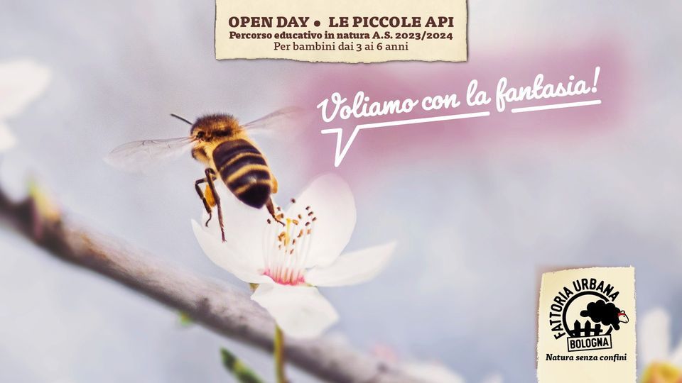 OPEN DAY “Le Piccole Api” -> Lalternativa alla scuola dellinfanzia per ...
