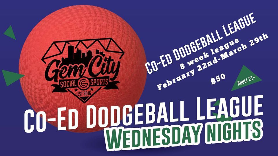 Adult Dodgeball League: Get Ready to Throw and Dodge!, Pauer Sports ...