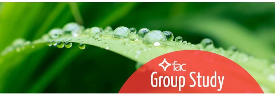 Wellness In Spirit, Soul, and Body - Group Study, FAC Calgary, 5 ...