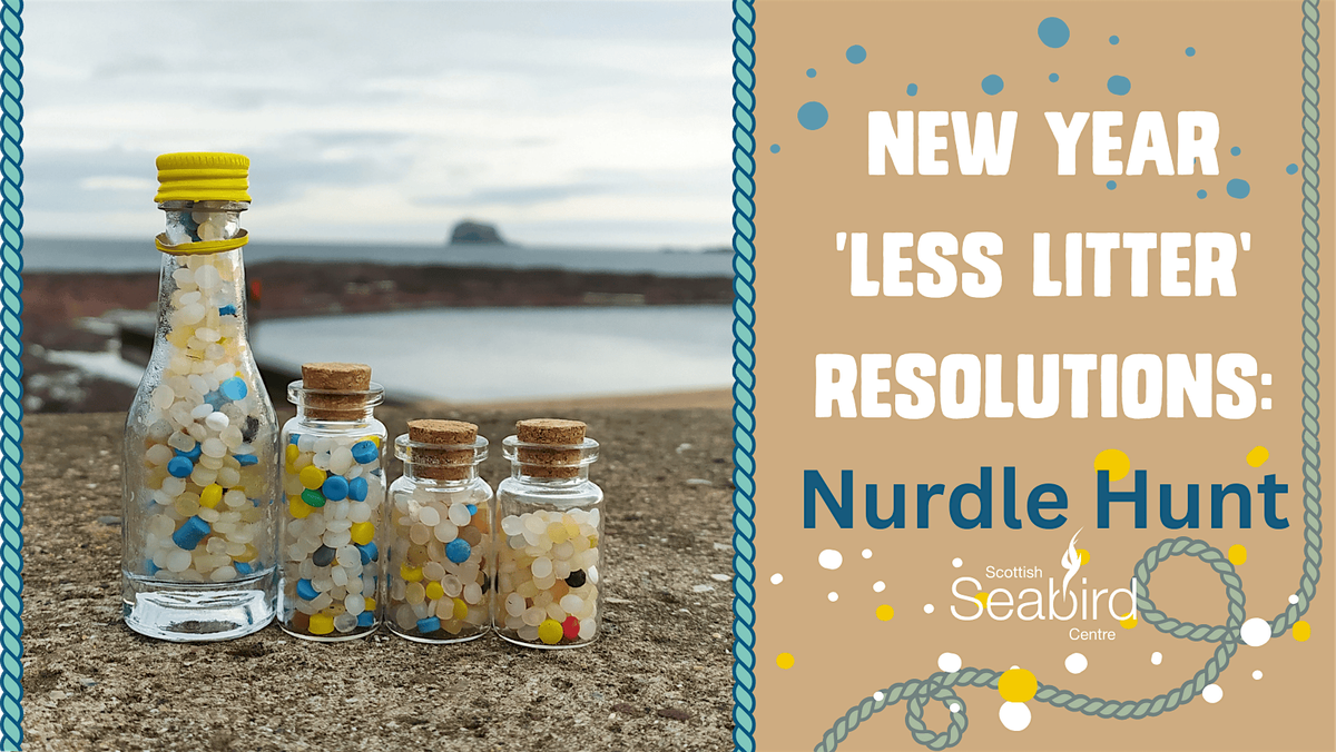 2026 Less Litter Resolution: Nurdle Hunt, North Berwick shore (meet ...