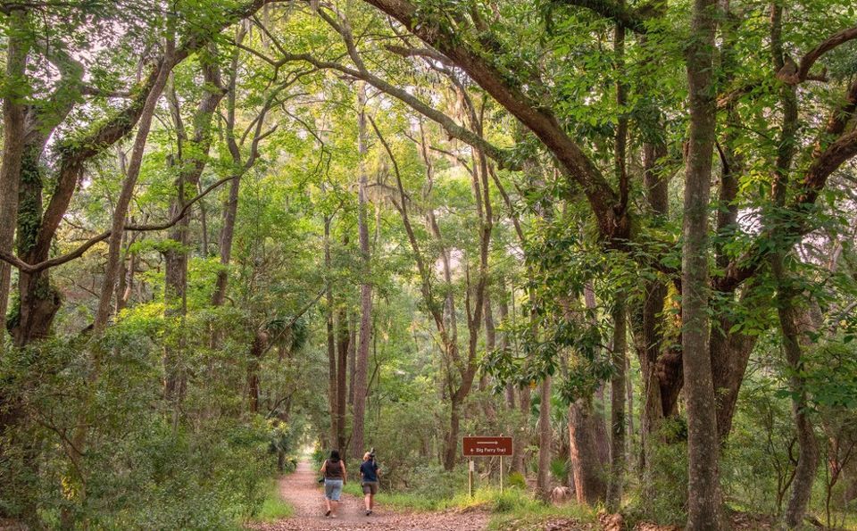 Roving Ranger, Skidaway Island State Park, Savannah, 20 April 2022