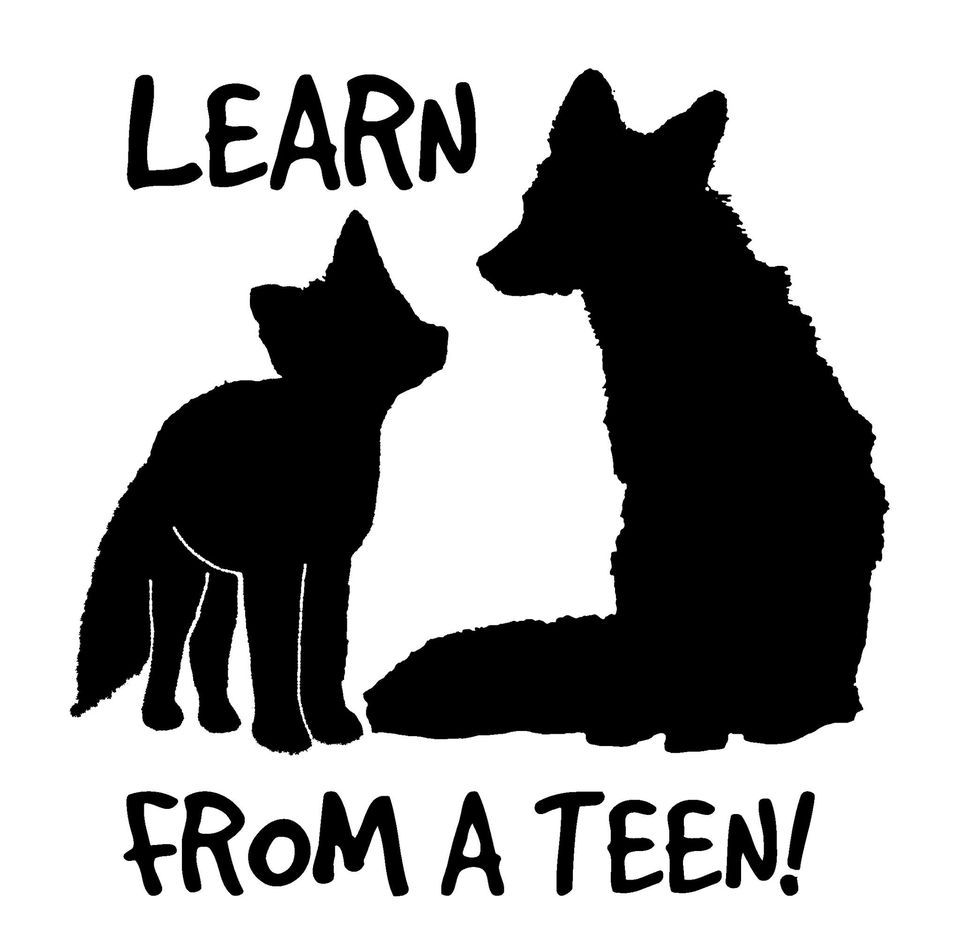 Chess Club (Learn from a Teen), Egleston Square Branch of the Boston ...