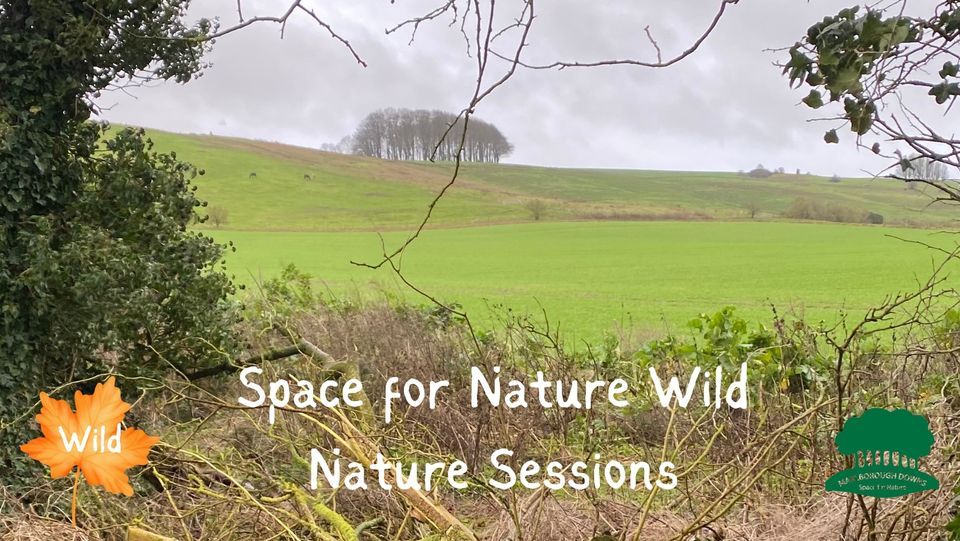Space for Nature Wild - Forest School Family Sessions - Natures Sky ...