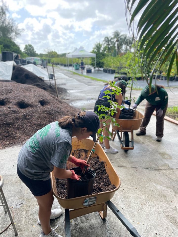 Nursery Maintenance Day, Habilitation Center For The Handicapped, Boca ...