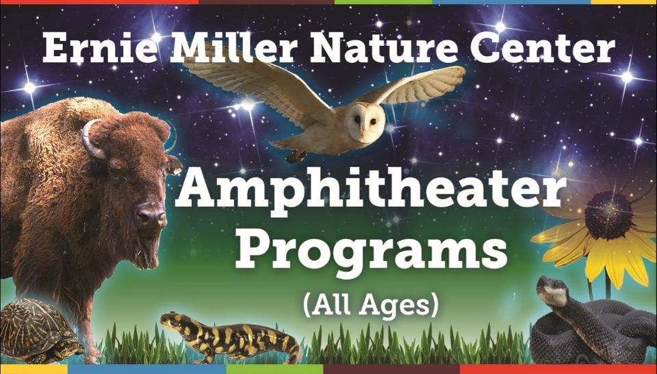 Friday Night Nature Amphitheater: Wildlife Whos Who, Ernie Miller Park ...
