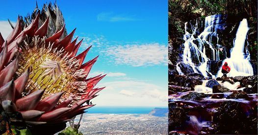 Skeleton Gorge Waterfall Hike, Kirstenbosch, Cape Town, 28 July 2021