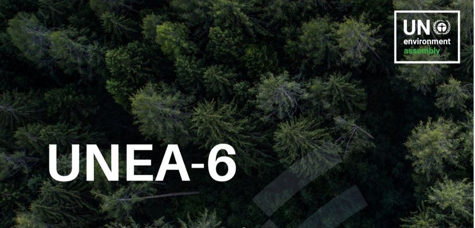 Sixth session of the United Nations Environment Assembly (UNEA-6) , UN ...