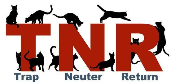 TRAP-Neuter-Return Clinic, Sidney, Ohio - City Government, 1 February 2021