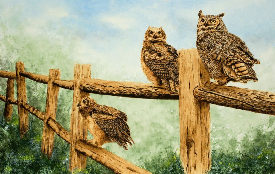 Julie Bender: Pyrography-Painting with Heat Exhibit, Loveland Museum ...